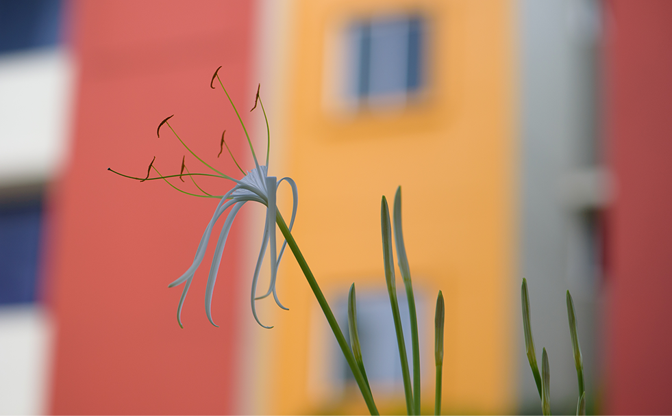 CeNSE | Centre for Nano Science and Engineering (CeNSE)